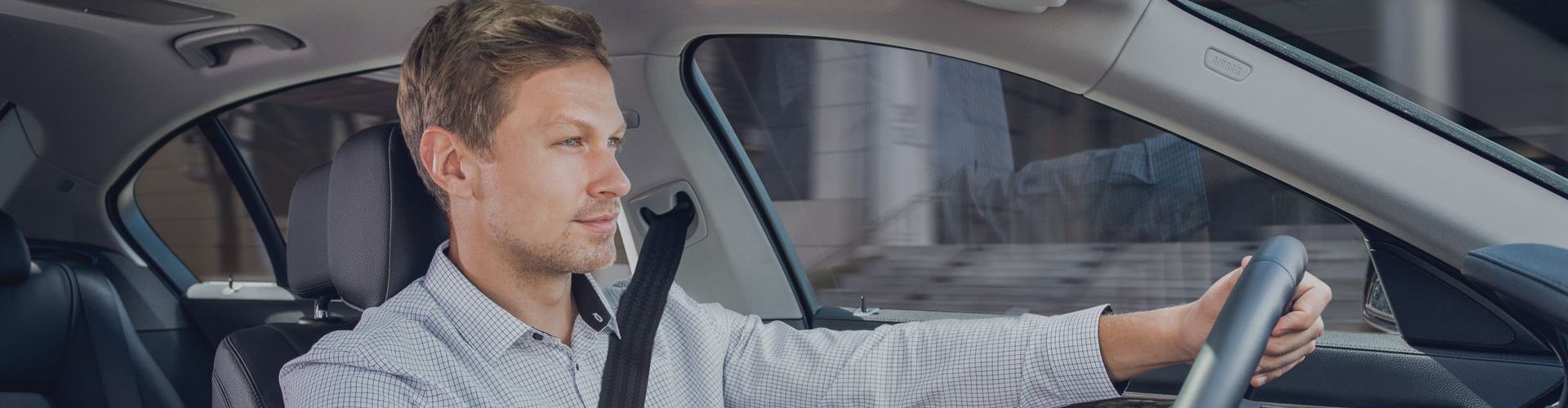 Window Film Examples | ADS Window Films Plymouth & Devon